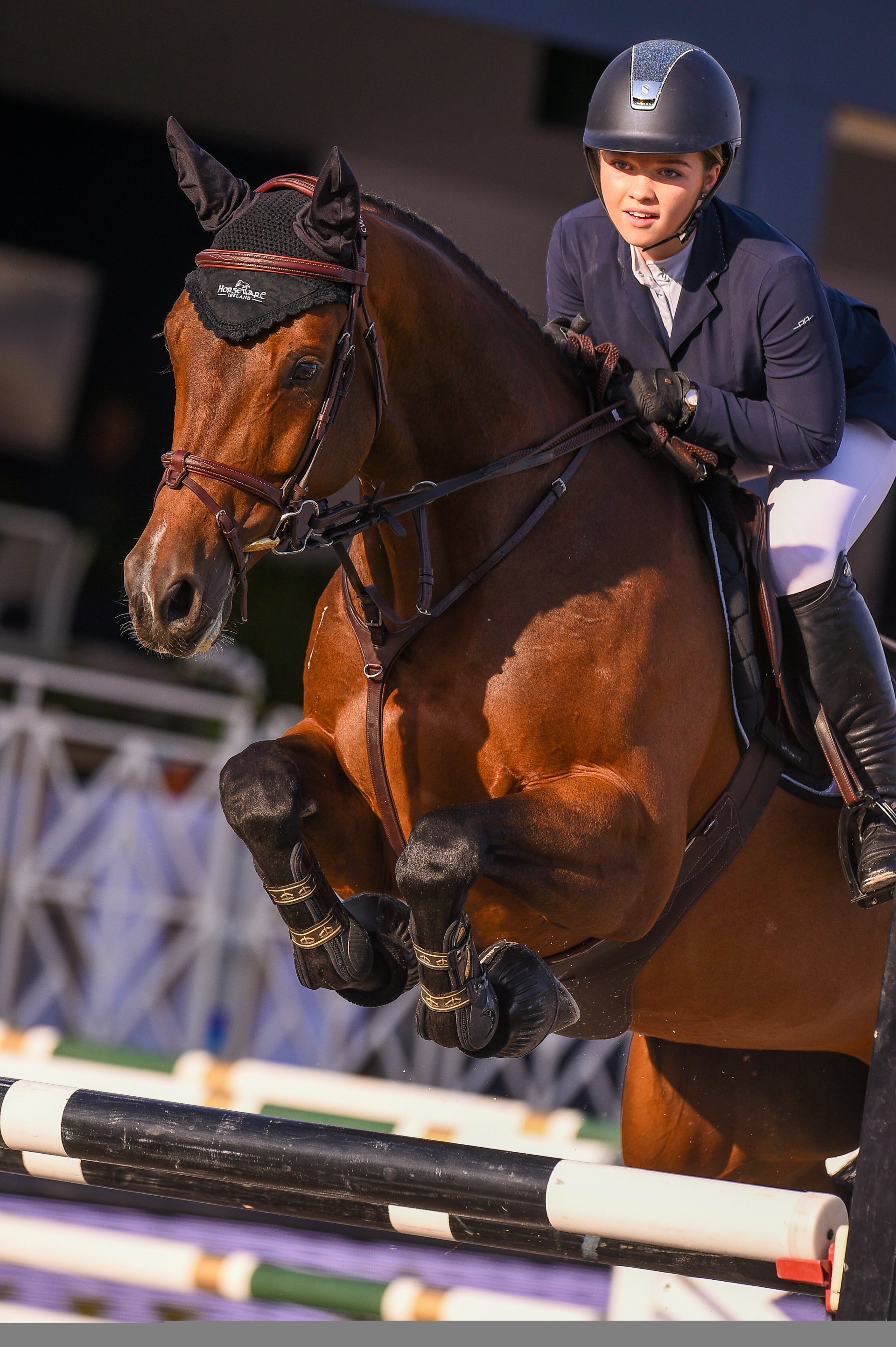 The Team & Gallery | Show Jumping Athlete | Alena Hughes