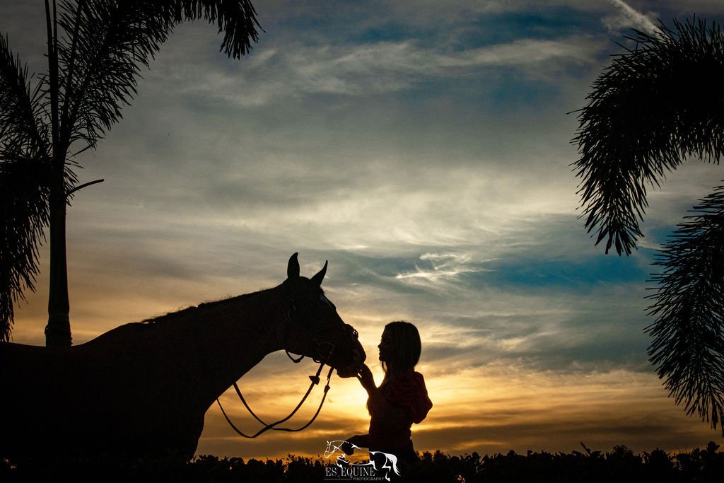 The Team & Gallery | Show Jumping Athlete | Alena Hughes