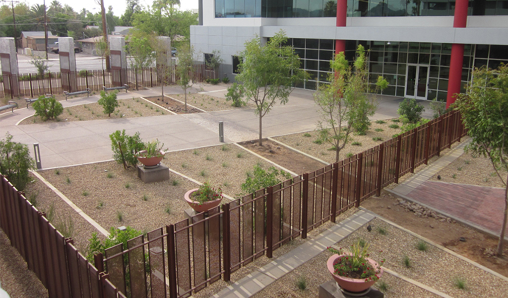 Services + Portfolio