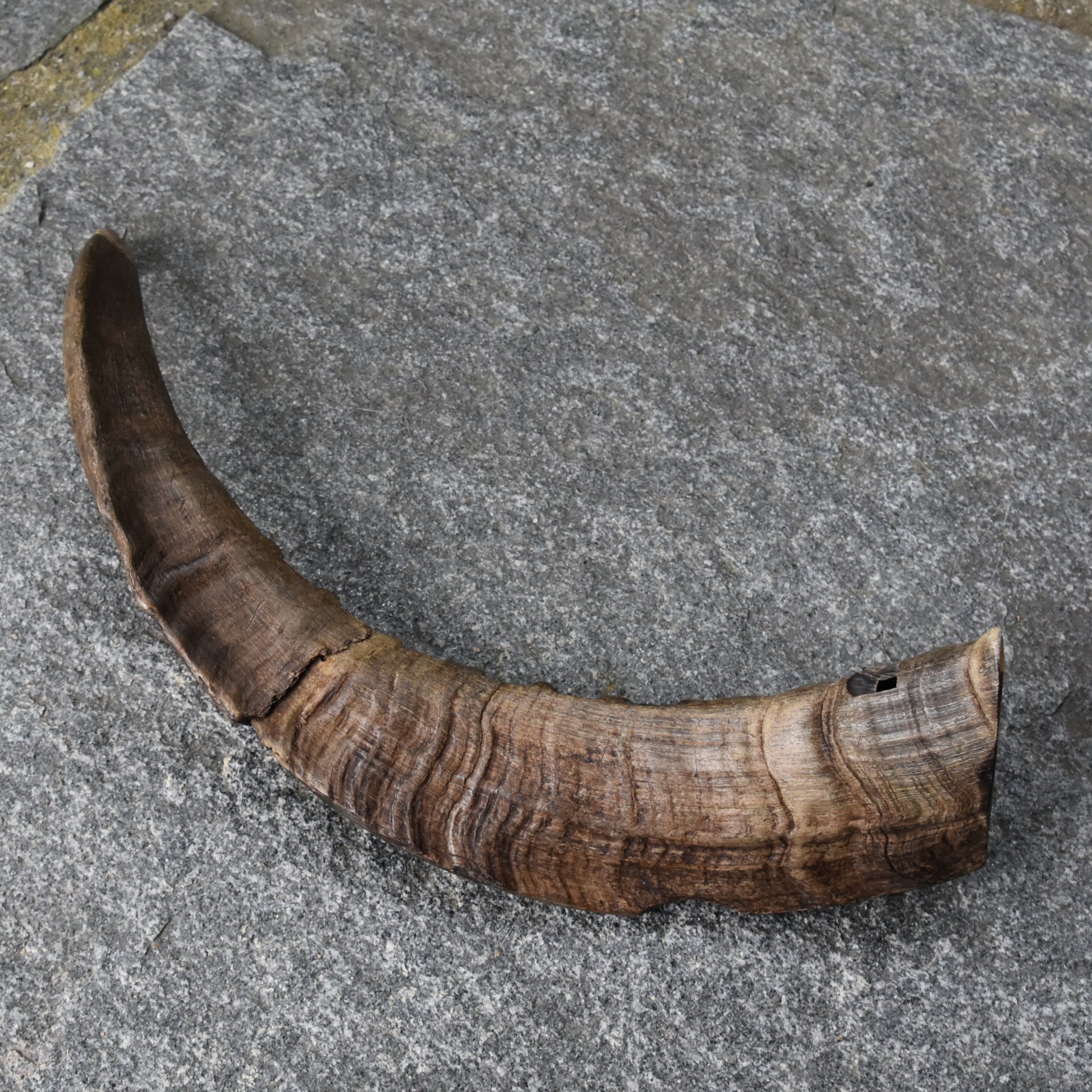 powerflute instruments