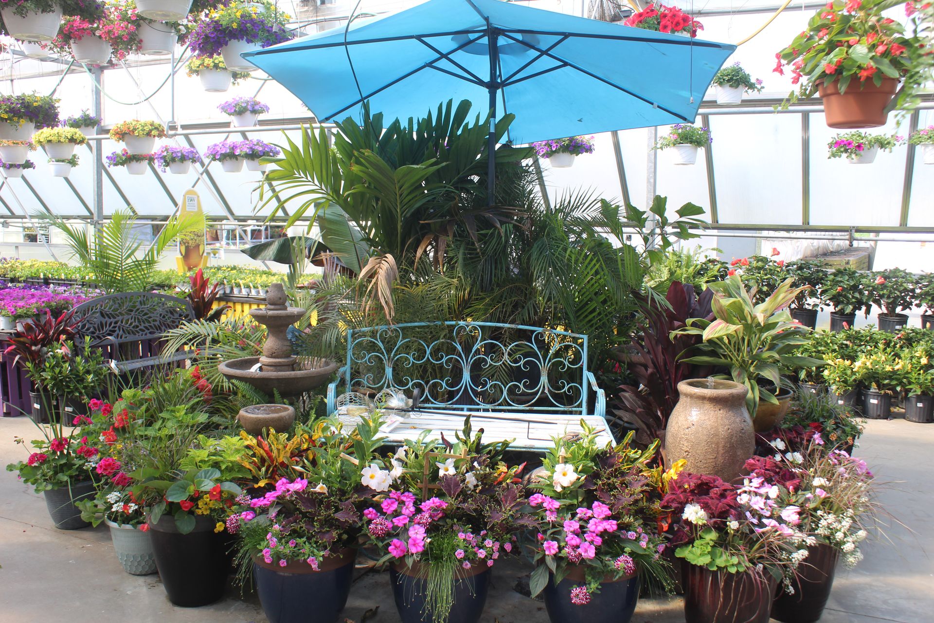 Our Story - Learn About Farmstead Flowers