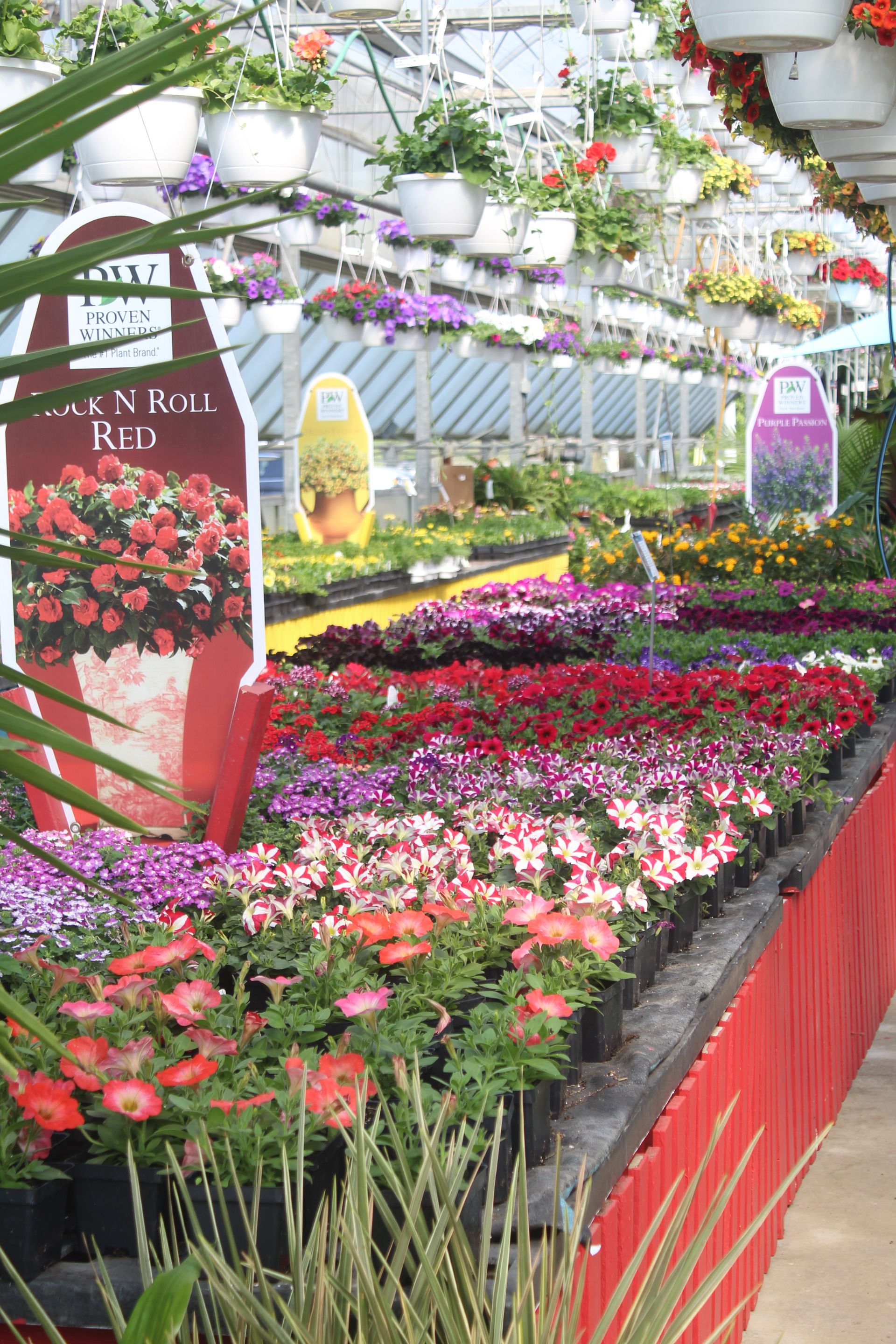 Our Story - Learn About Farmstead Flowers