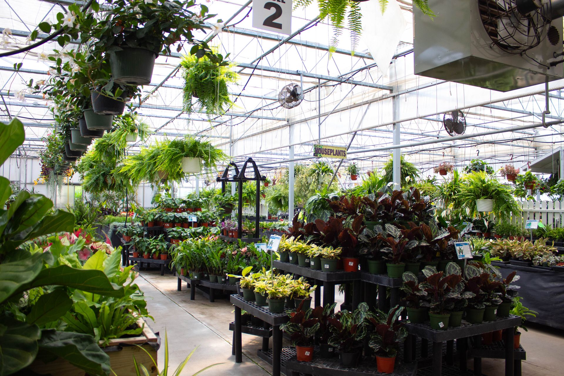 Our Story - Learn About Farmstead Flowers