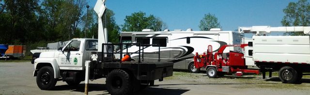 Our Tree Service Photos – Genesee County, MI