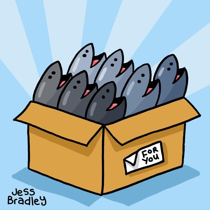 Jess Bradley Illustration