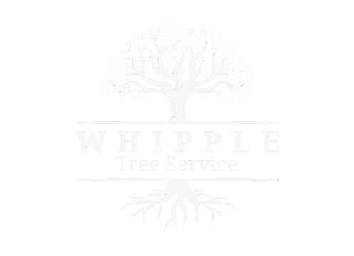 Whipple Tree Service l Tree Removal Service