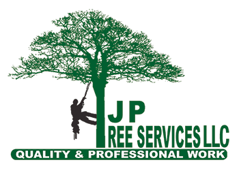 J P Tree Services LLC | North Dallas, TX