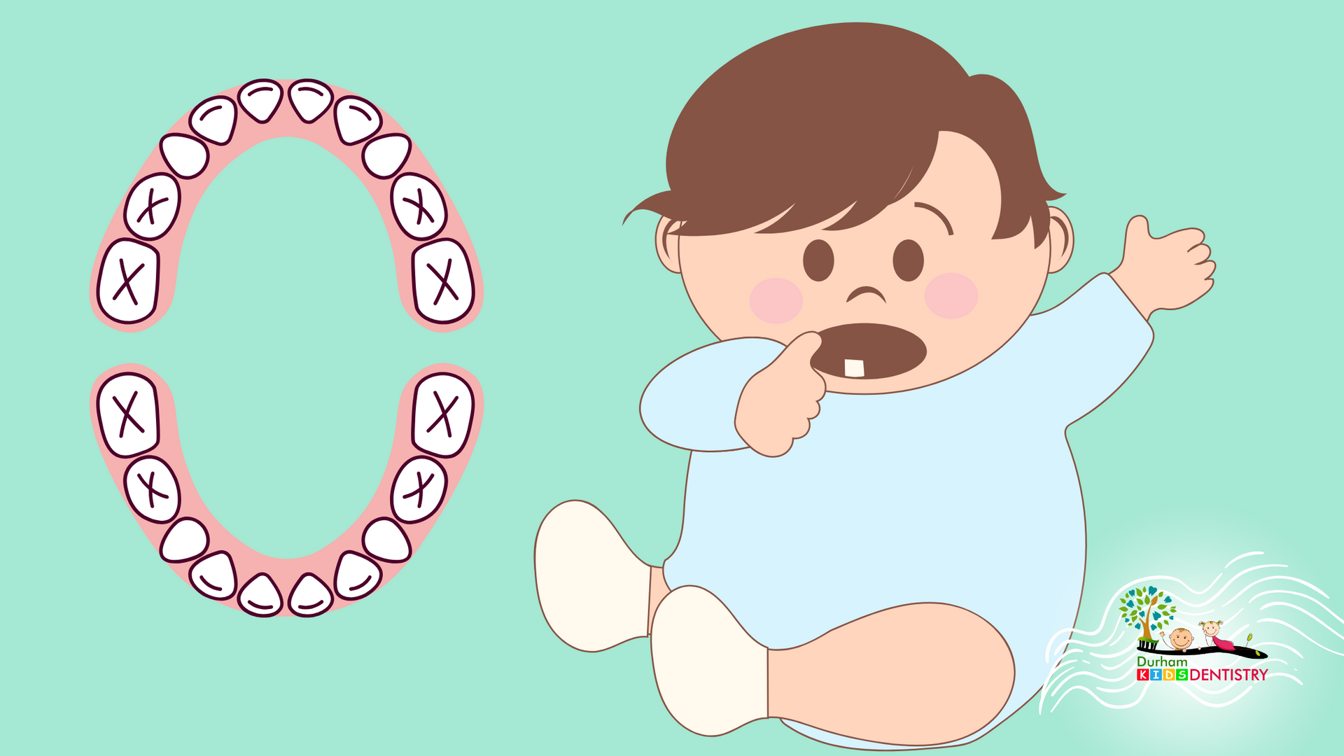 Did You Know? 20 Cool Dental Facts for Kids to Learn About Teeth