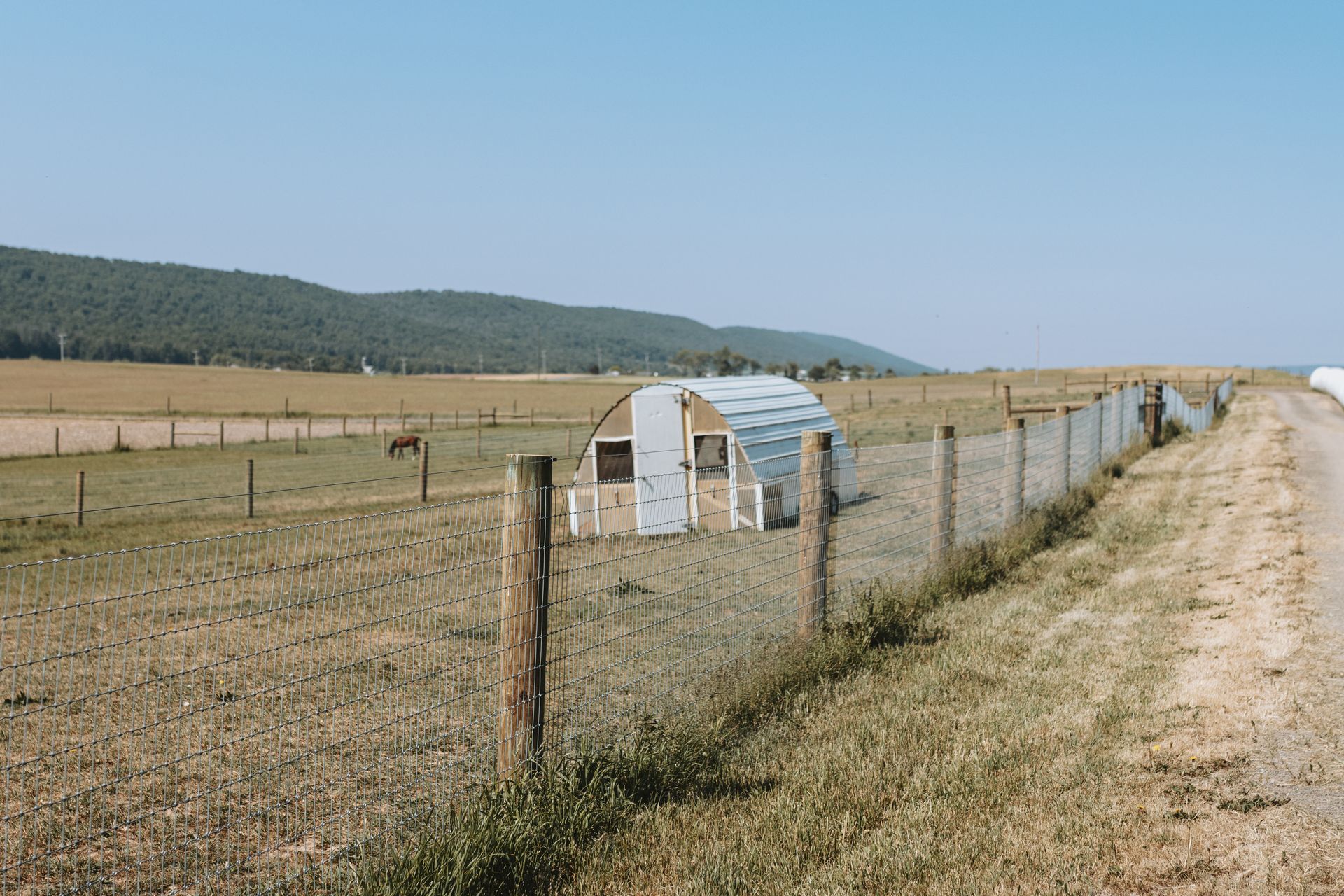 Livestock Fences for Your Farm | Rolling Acres | State College