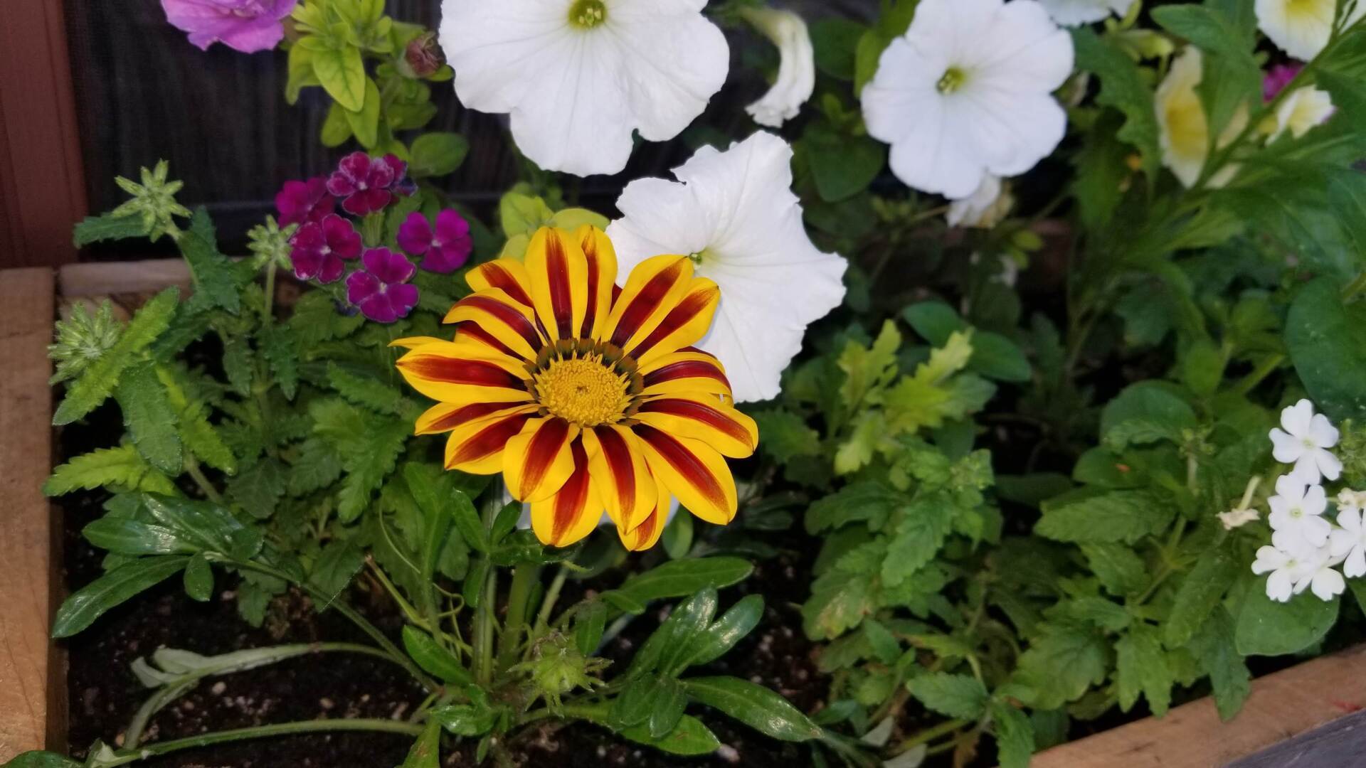 About Us | Hood Mortuary