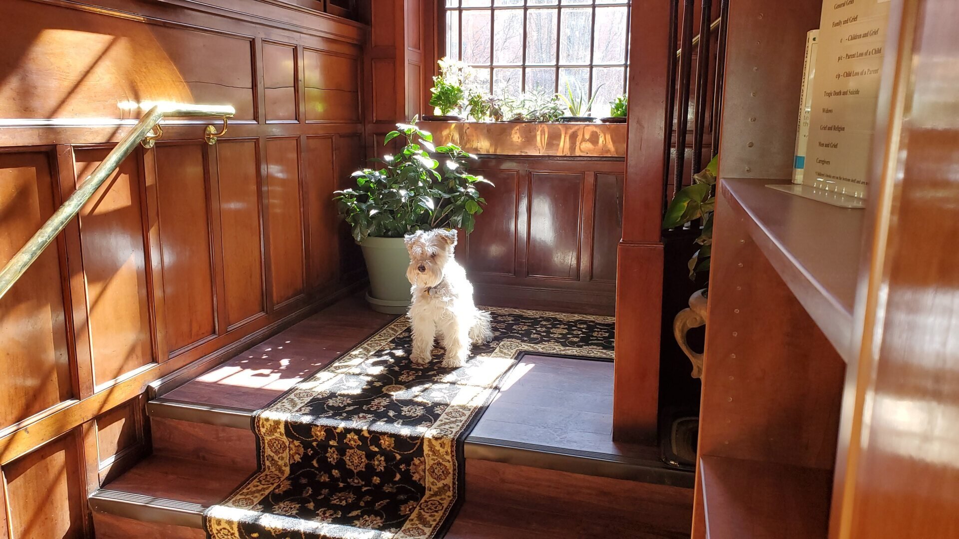 About Us | Hood Mortuary