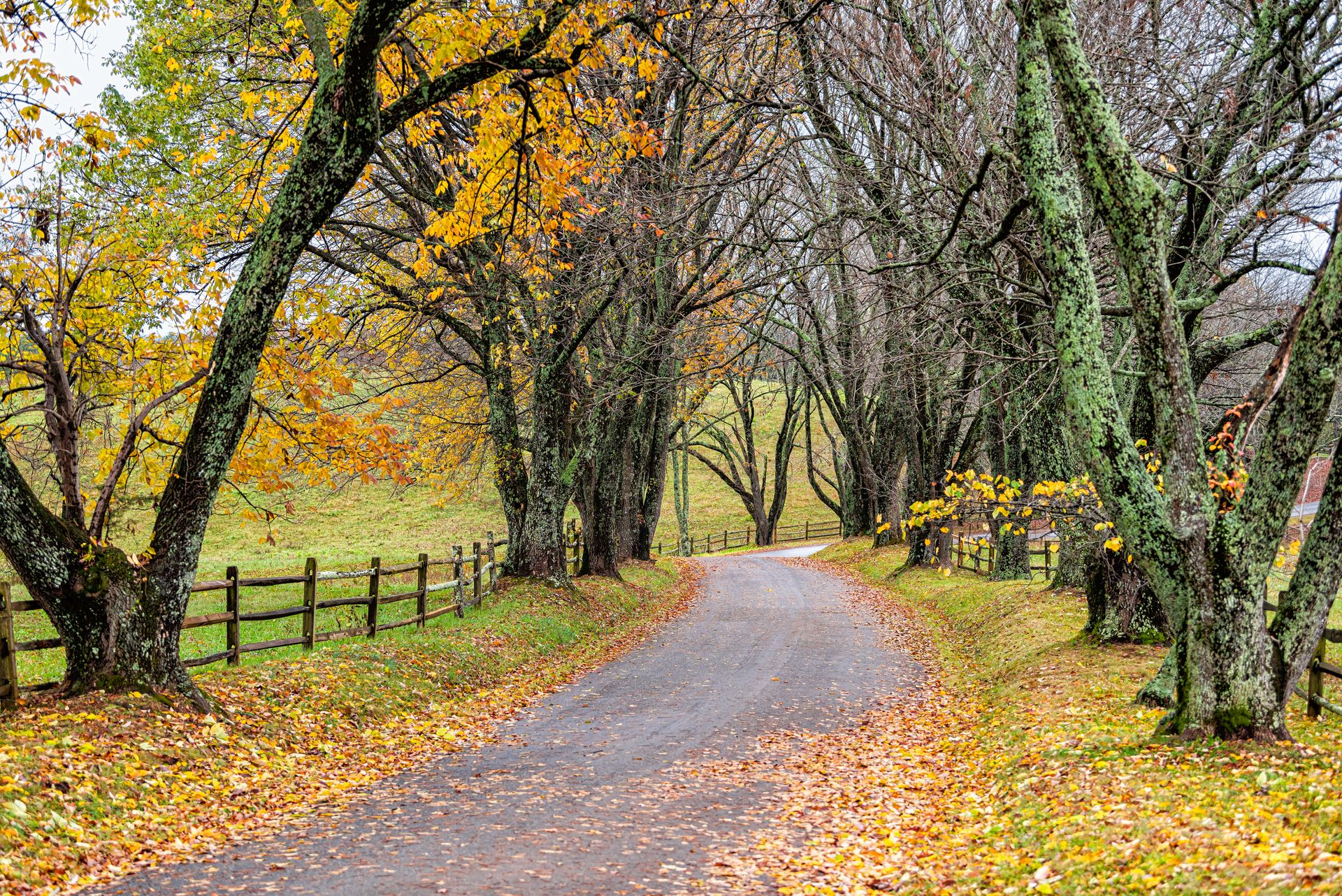 Things to Do in Central Virginia