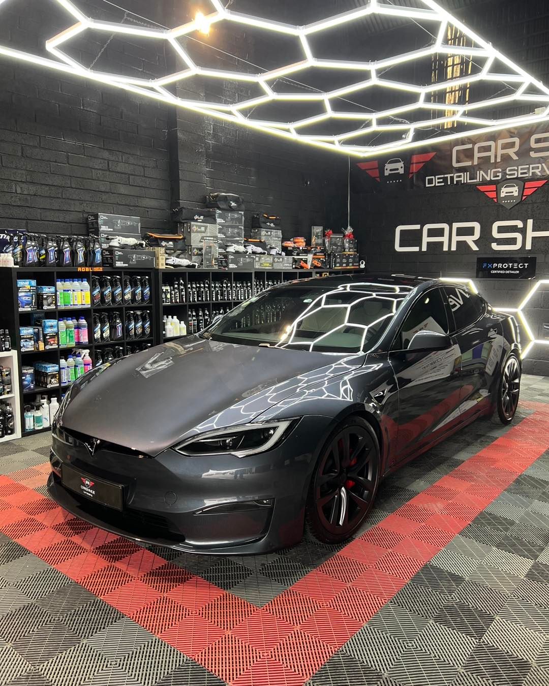 Tesla Model S Plaid - Paint Protection