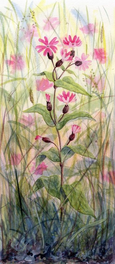 Pink is my colour | Summer Group Show | Olivier Cornet Gallery