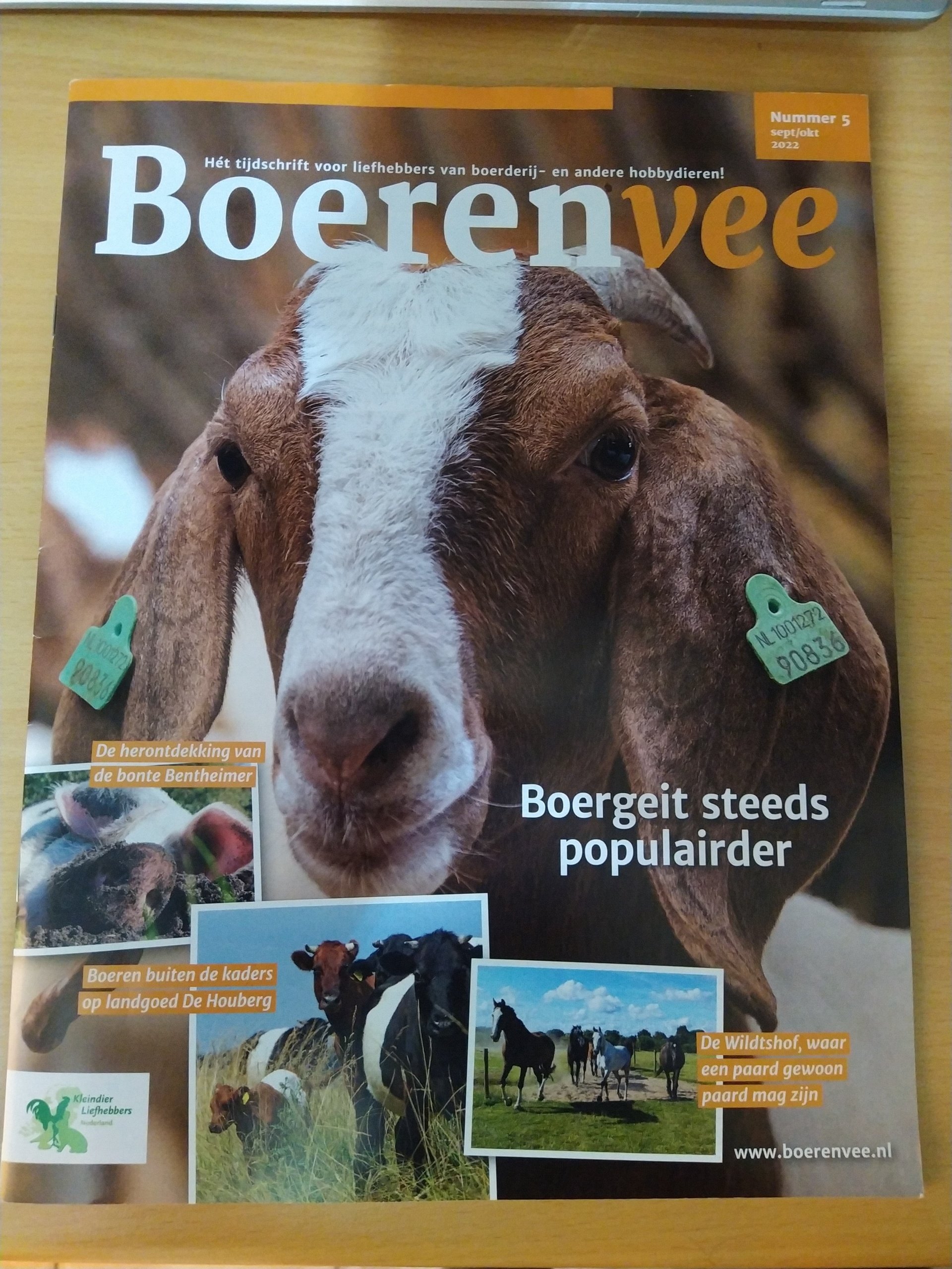 (Netherlands) Boerenvee Magazine - Nr5 Sept/Okt 2022
