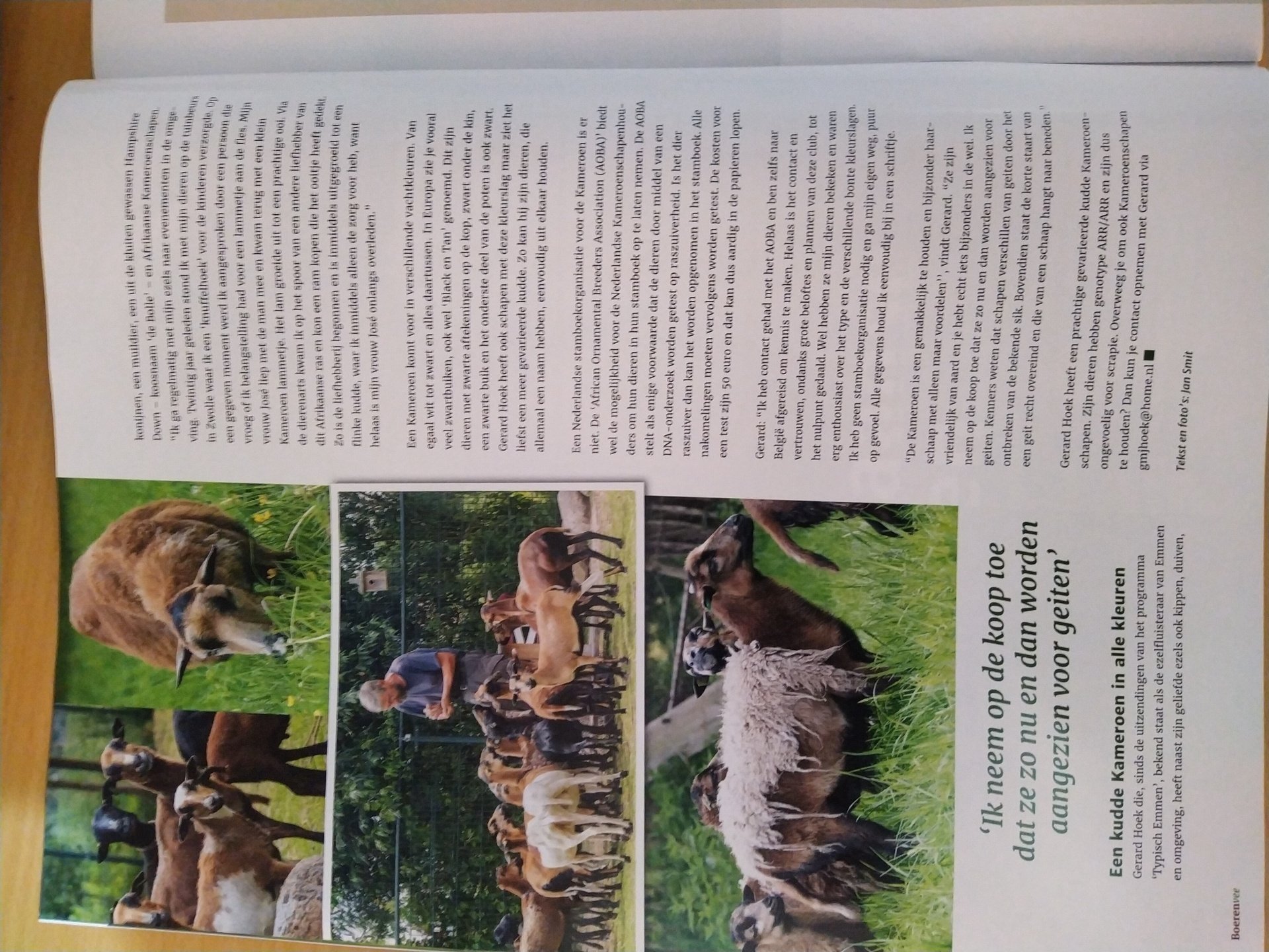 (Netherlands) Boerenvee Magazine - Nr5 Sept/Okt 2022