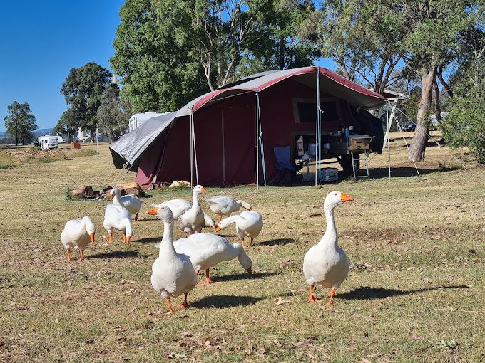 Recreation Gallery | Muswellbrook, NSW | Lake Liddell