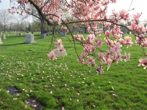 Cemeteries | Fewell Monument