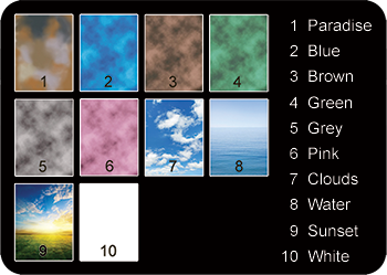 Ceramic Portraits | Fewell Monument