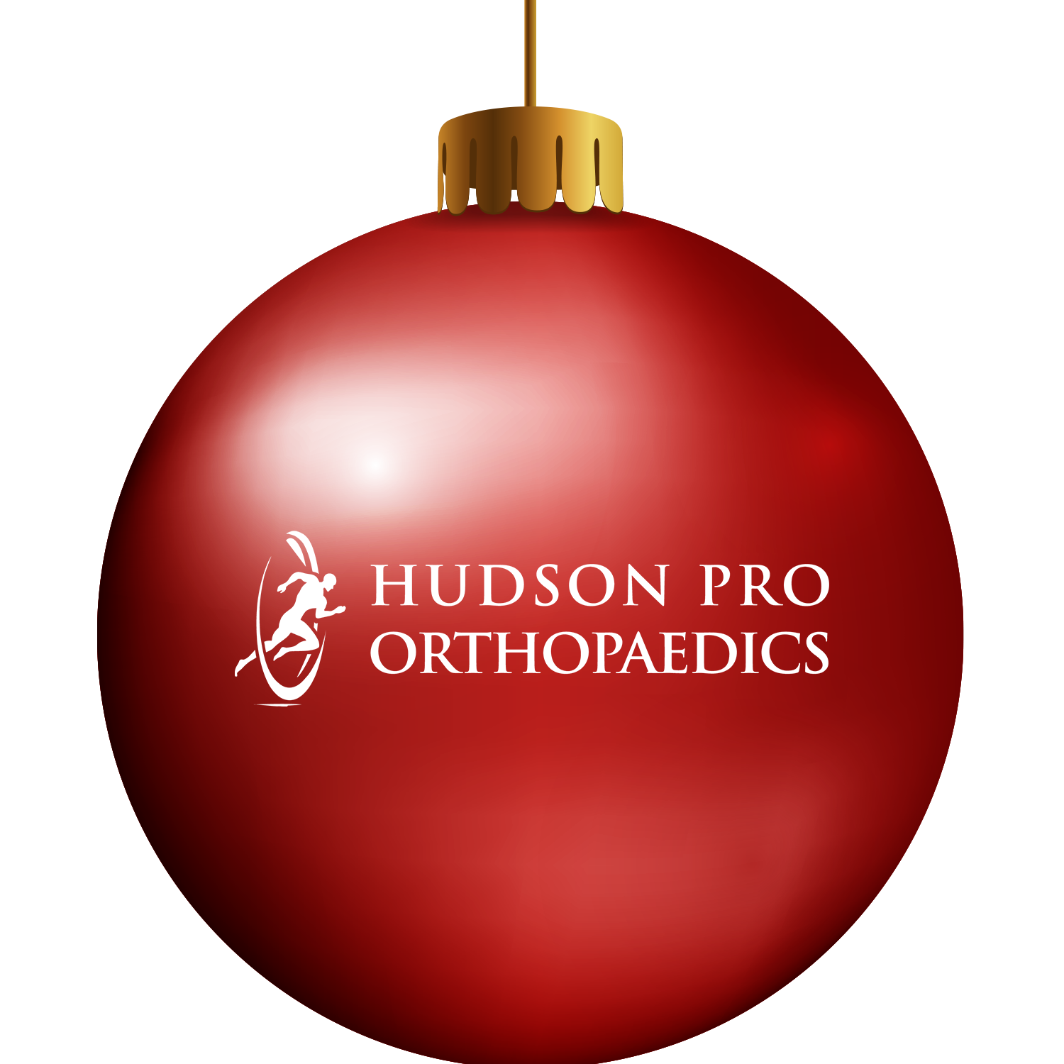 Hudson Pro Orthopaedics and Sports Medicine