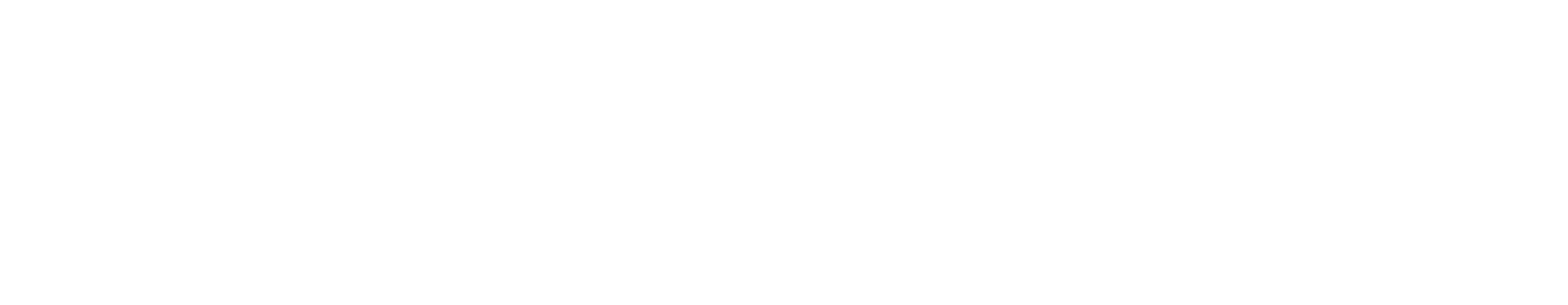 Professional Digital Marketing and SEO Company
