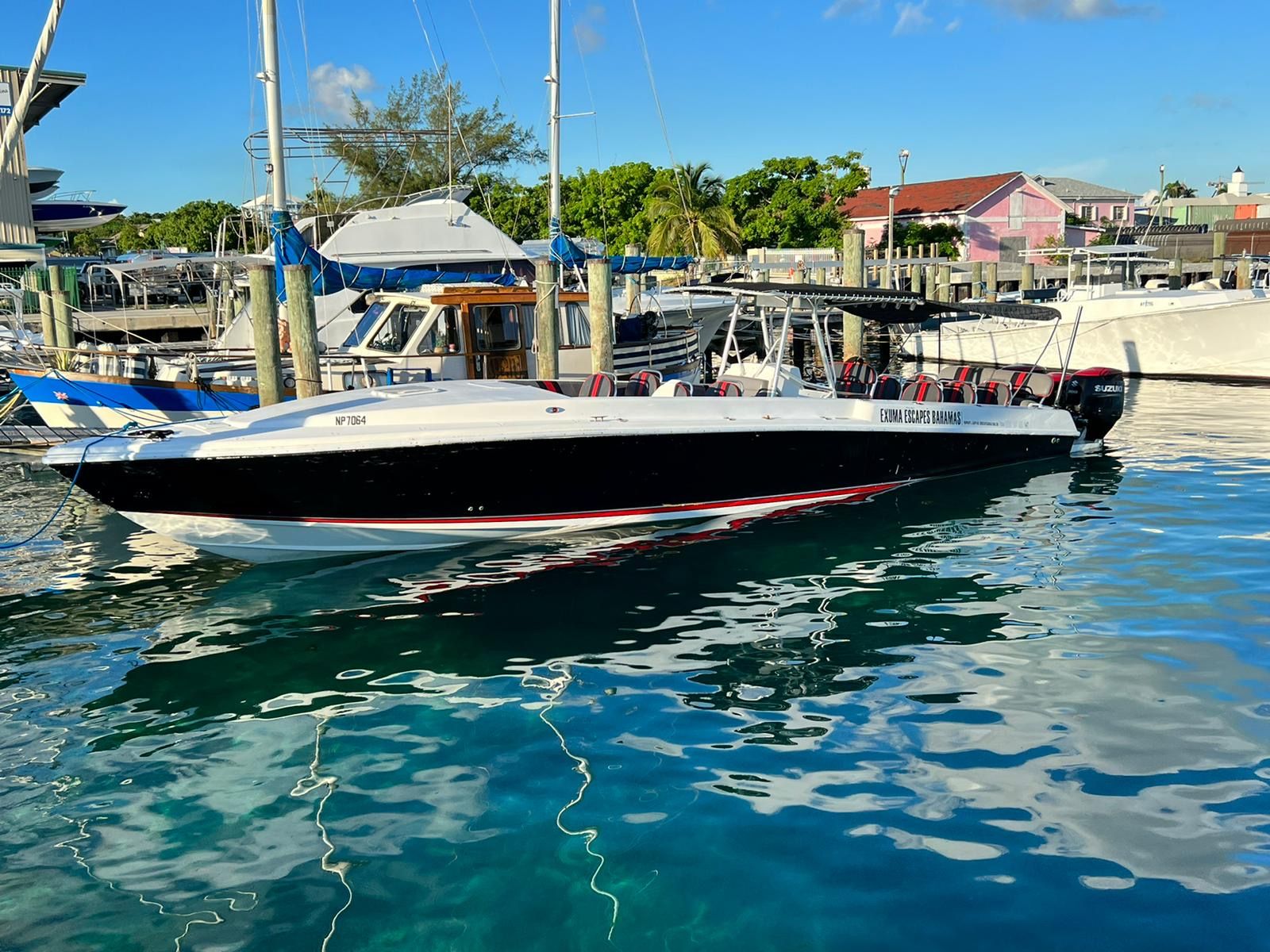 Exuma Escapes Bahamas Gallery | Swimming Pigs & Excursions from Nassau
