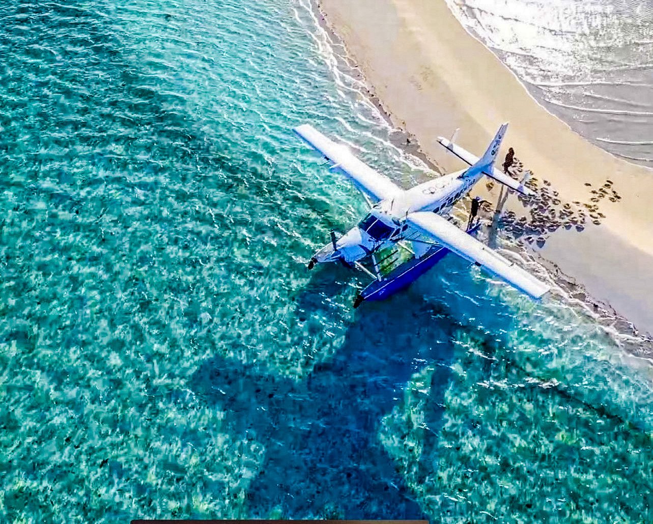 Nassau Swimming Pigs Tours & Excursions | Exuma Escapes Bahamas