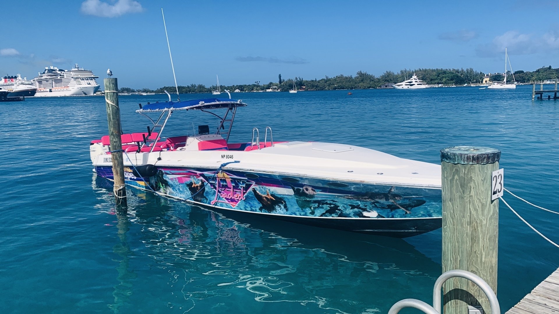 Exuma Escapes Bahamas Gallery | Swimming Pigs & Excursions from Nassau