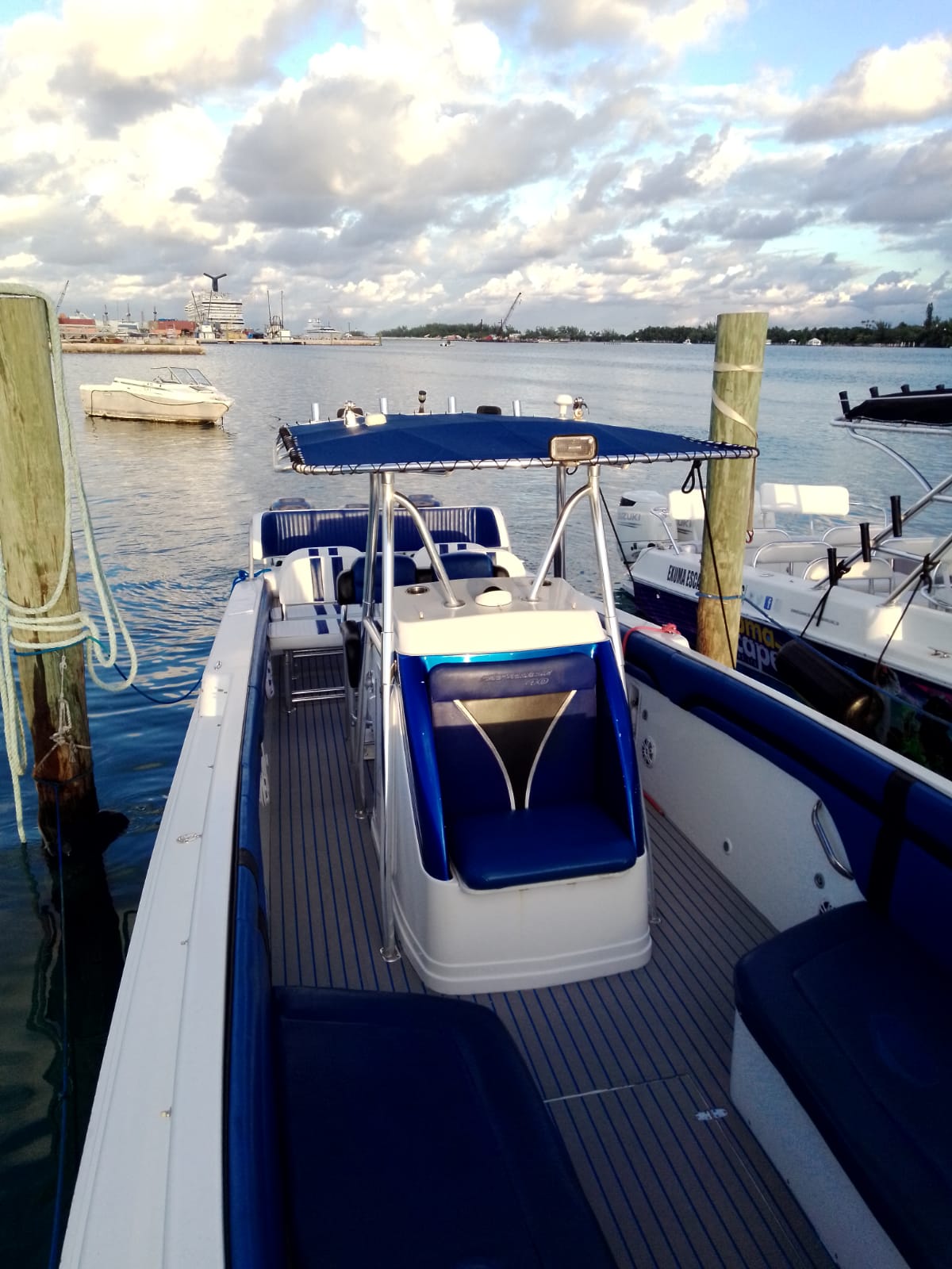 Exuma Escapes Bahamas Gallery | Swimming Pigs & Excursions from Nassau