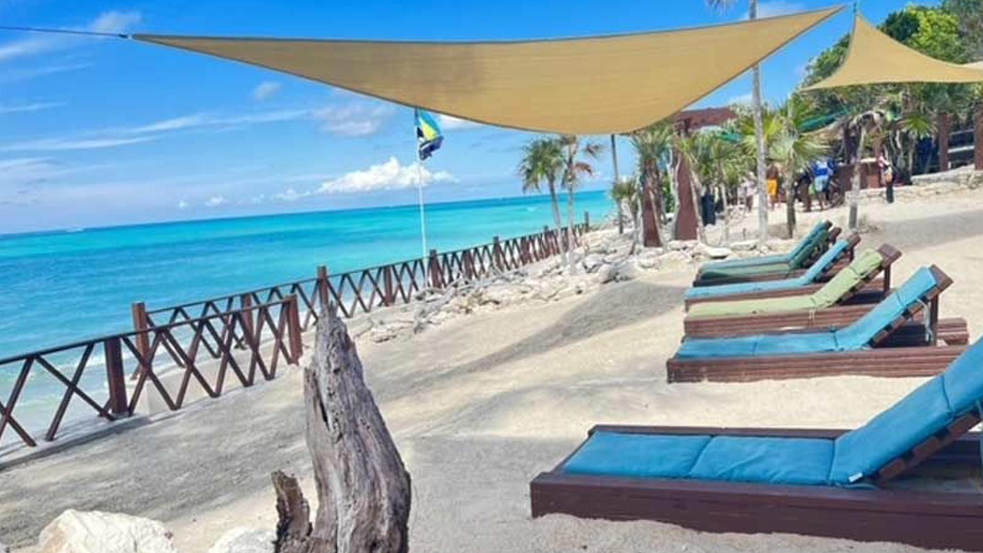 Exuma Escapes Bahamas Gallery | Swimming Pigs & Excursions from Nassau