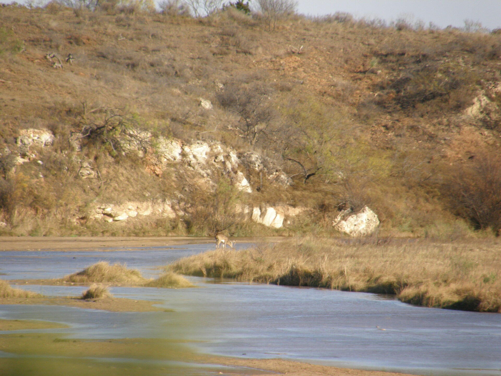 About Us | Salt Fork Hunts - Whitetail Deer & Rio Grande Turkey