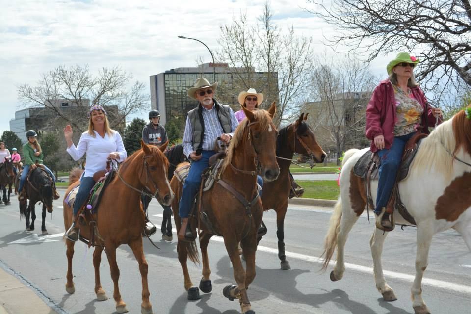 Silver Quarter Acres | Horse Boarding & Training