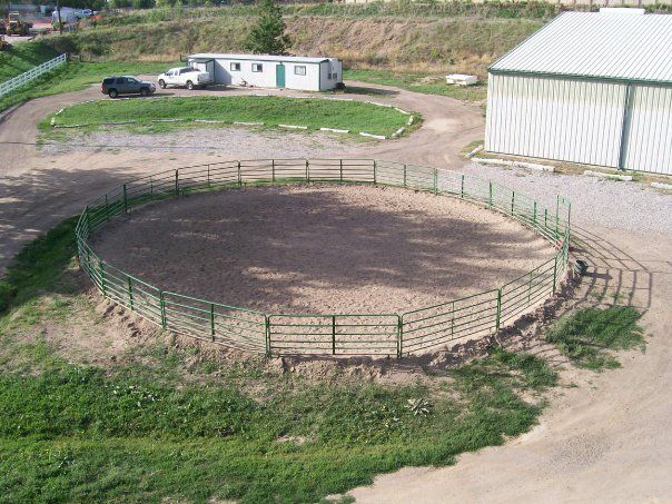 Silver Quarter Acres | Horse Boarding & Training