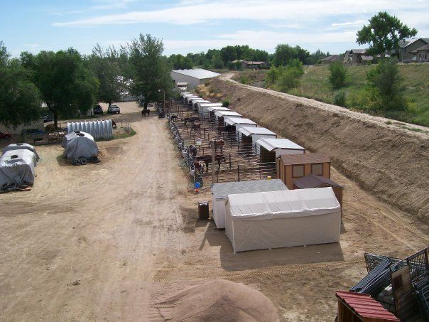 Silver Quarter Acres | Horse Boarding & Training