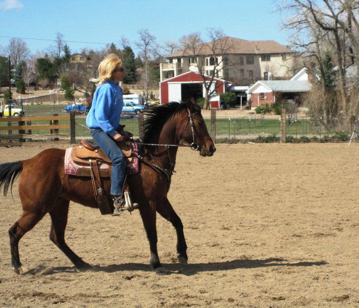 Silver Quarter Acres | Horse Boarding & Training