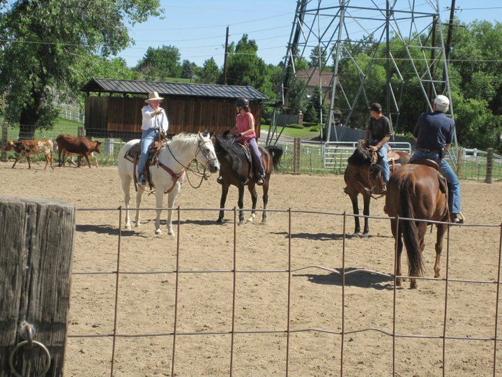 Silver Quarter Acres | Horse Boarding & Training