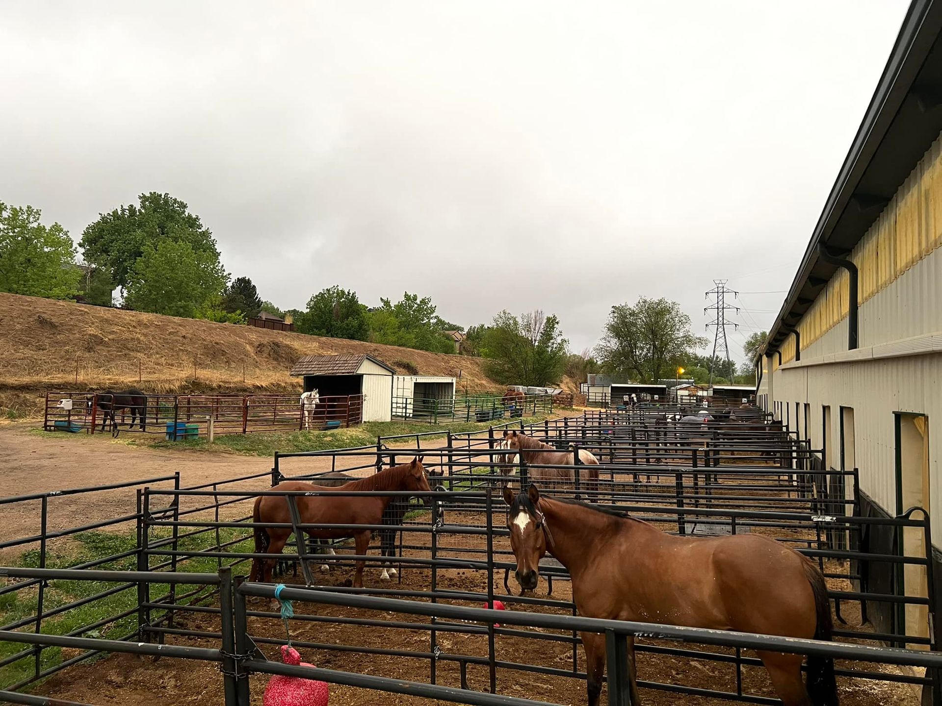 Silver Quarter Acres | Horse Boarding & Training
