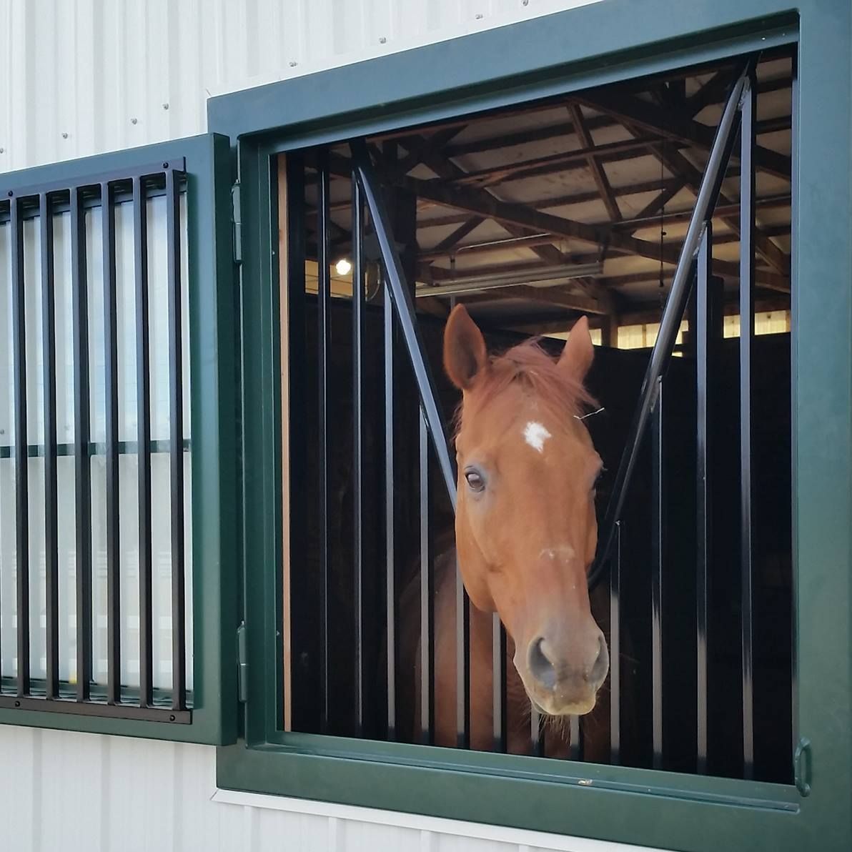 Silver Quarter Acres | Horse Boarding & Training
