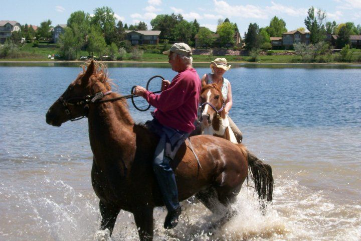 Silver Quarter Acres | Horse Boarding & Training