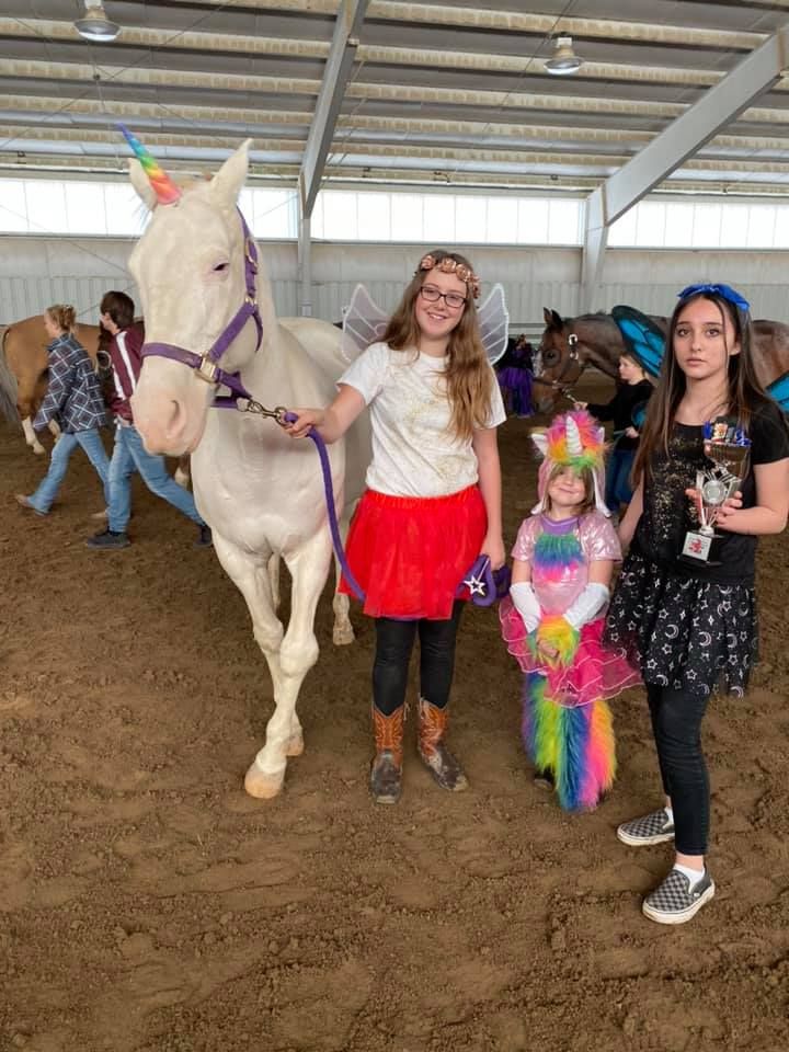 Silver Quarter Acres | Horse Boarding & Training