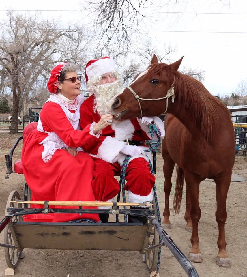 Silver Quarter Acres | Horse Boarding & Training