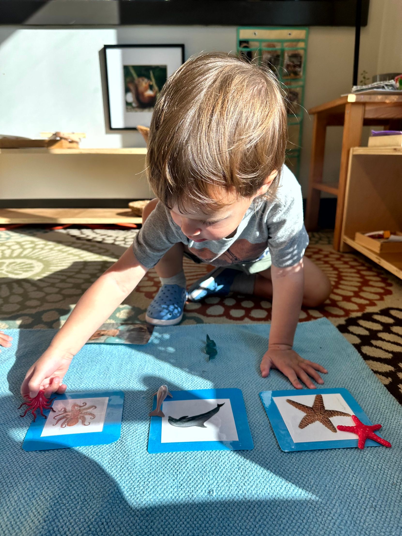 Language in the Toddler Community