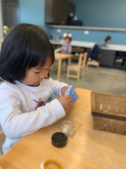 Montessori Outcomes: Nurturing Adaptability