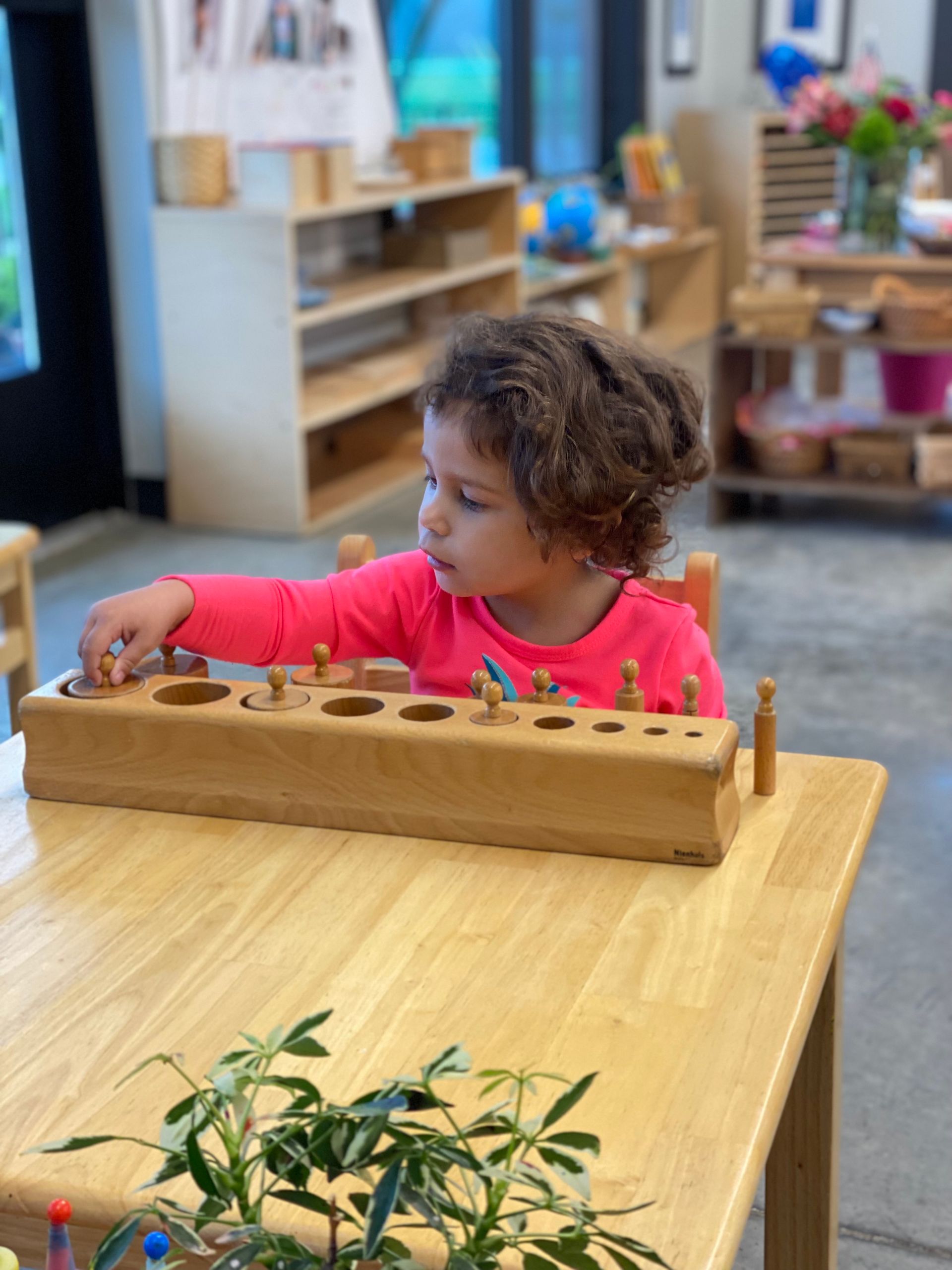 Montessori Outcomes: Critical Thinking