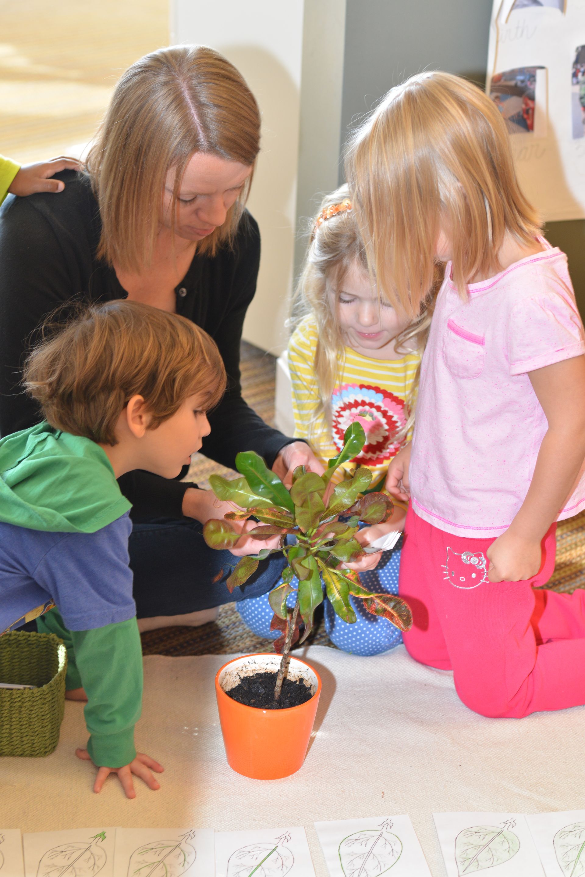 Freedom Within Limits