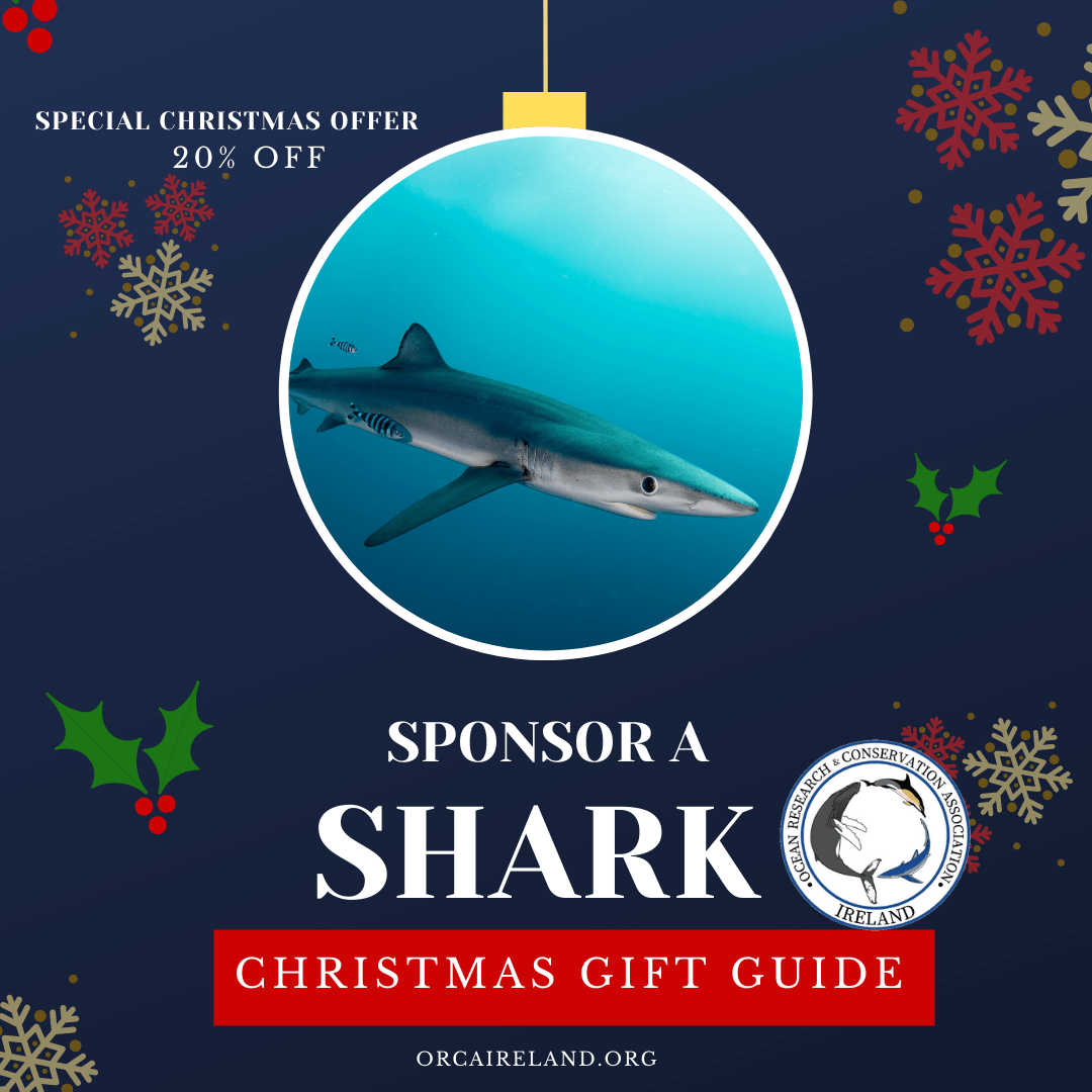 ORCAIreland- Get Involved