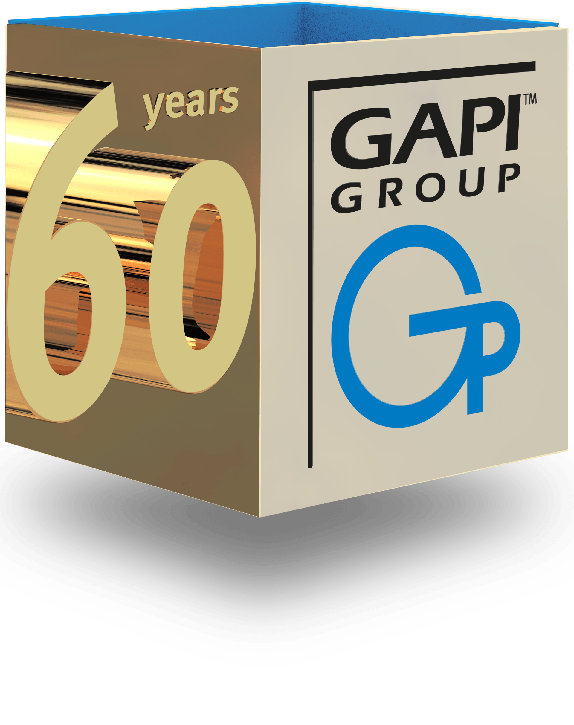 Home www gapigroup 