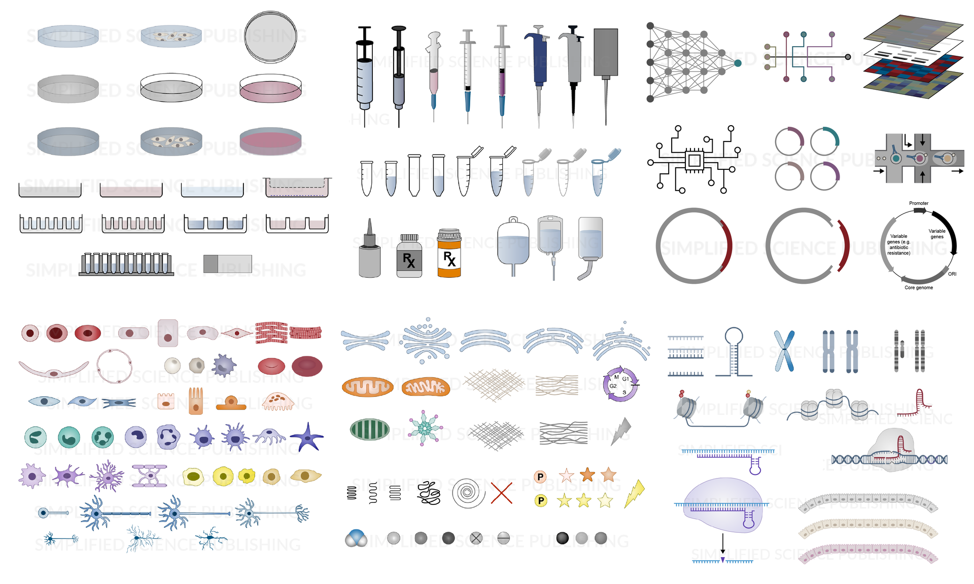 Scientific Illustration & Online Course Company | Simplified Science ...