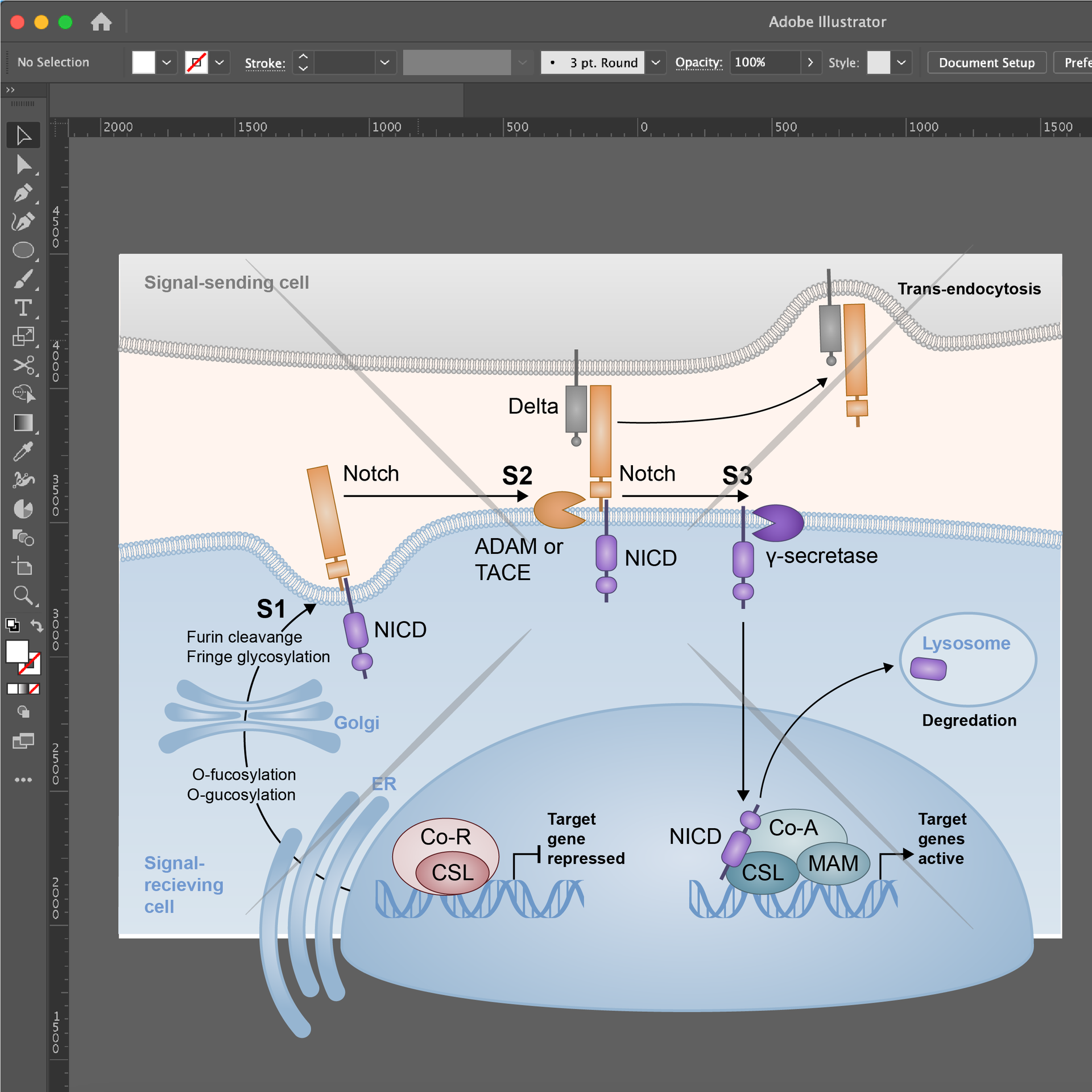 Laboratory Tools: Petri Dish, Syringe and Tube Drawings