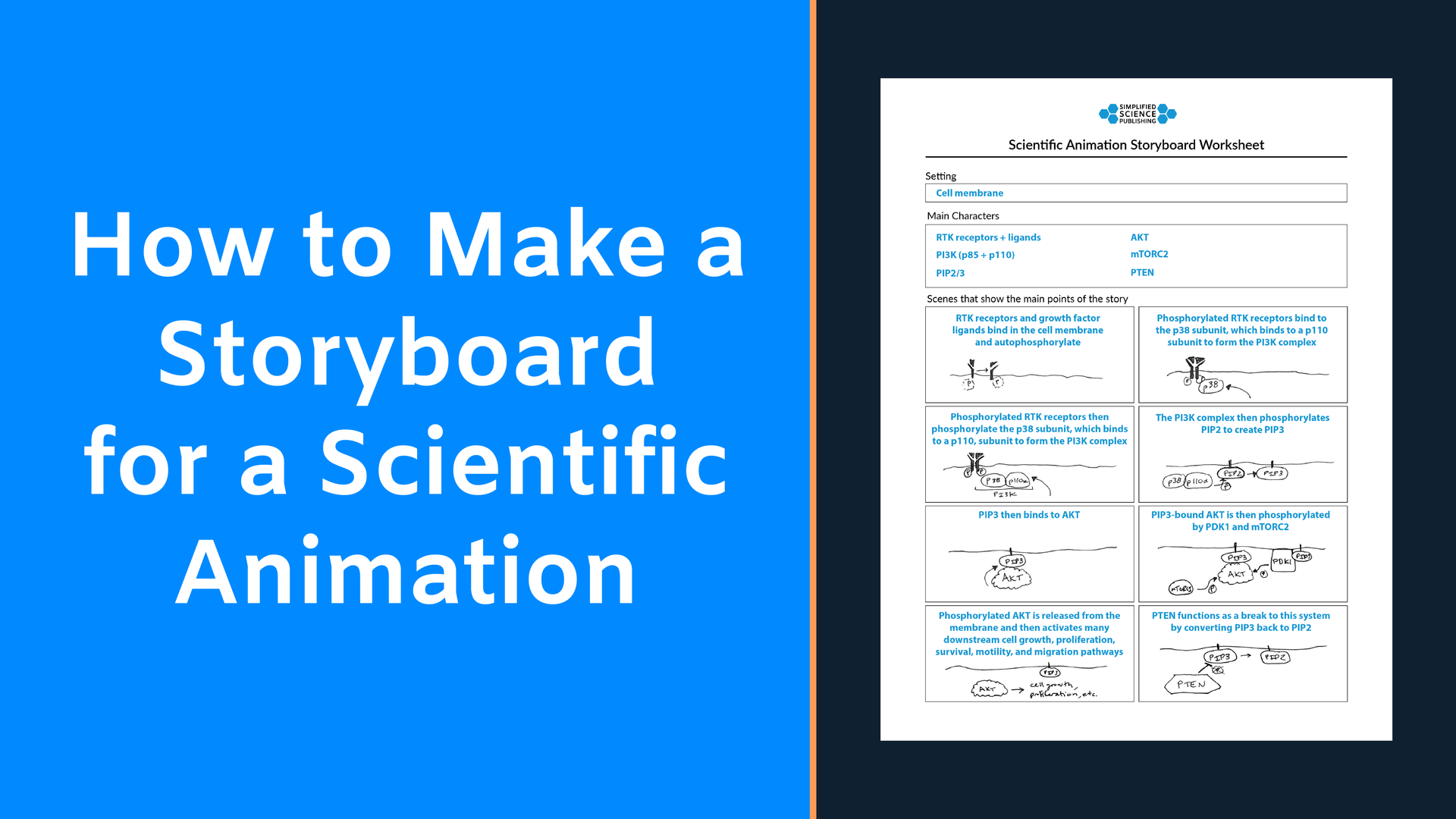 Scientific Animation Course | Simplified Science Pro
